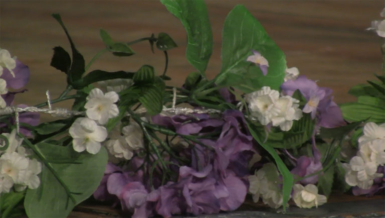 Mrs. Pankhurst’s Amazons | Suffrajitsu